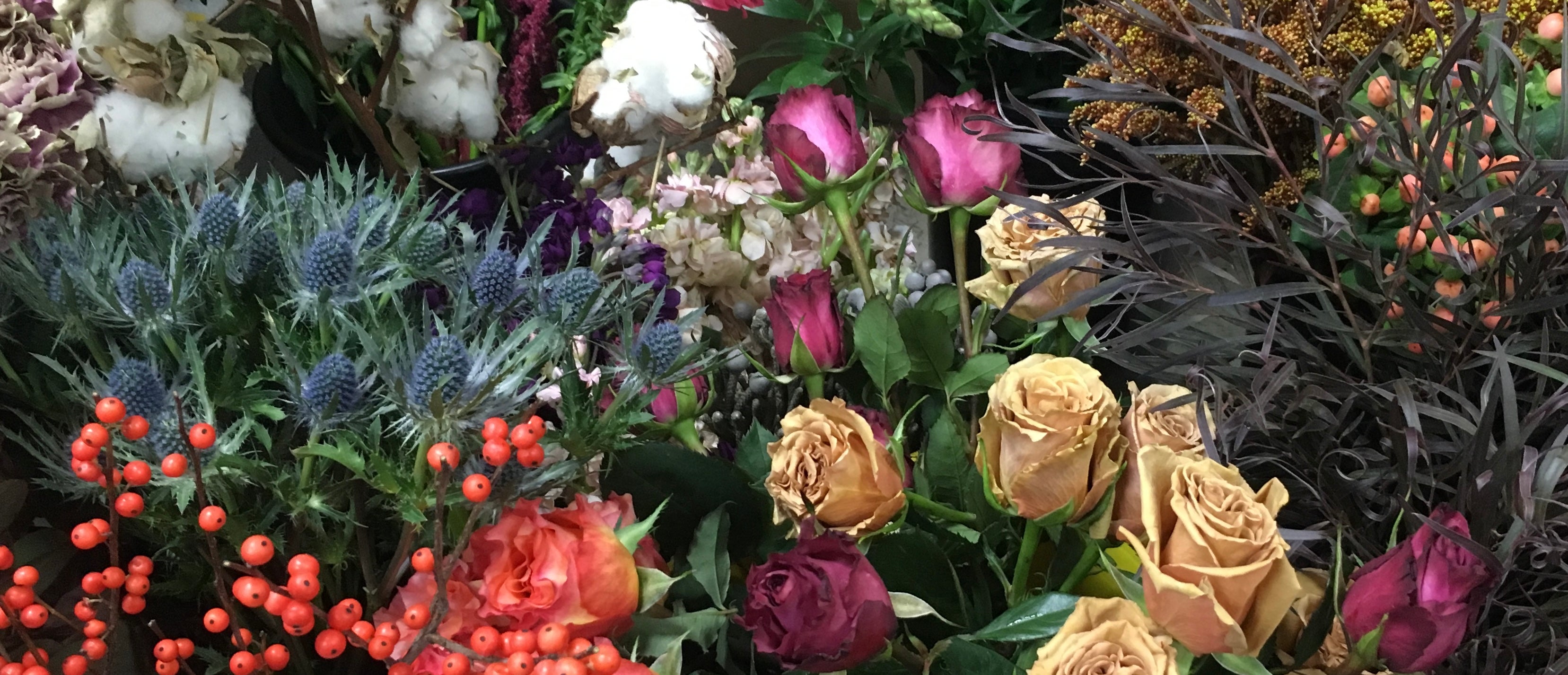 Designer’s Choice–Divine Floral & Gifts